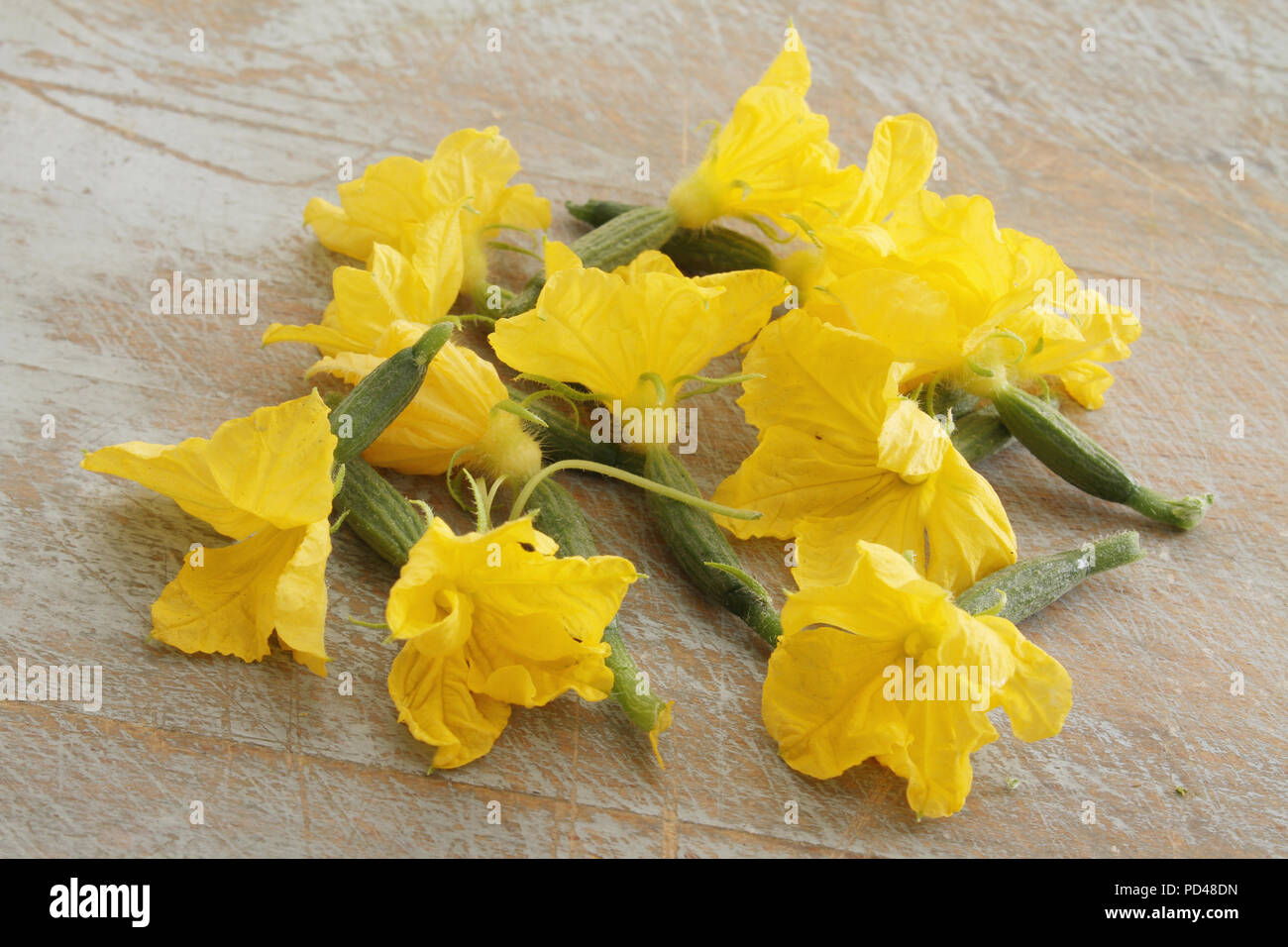 edible cucumber flowers Stock Photo - Alamy