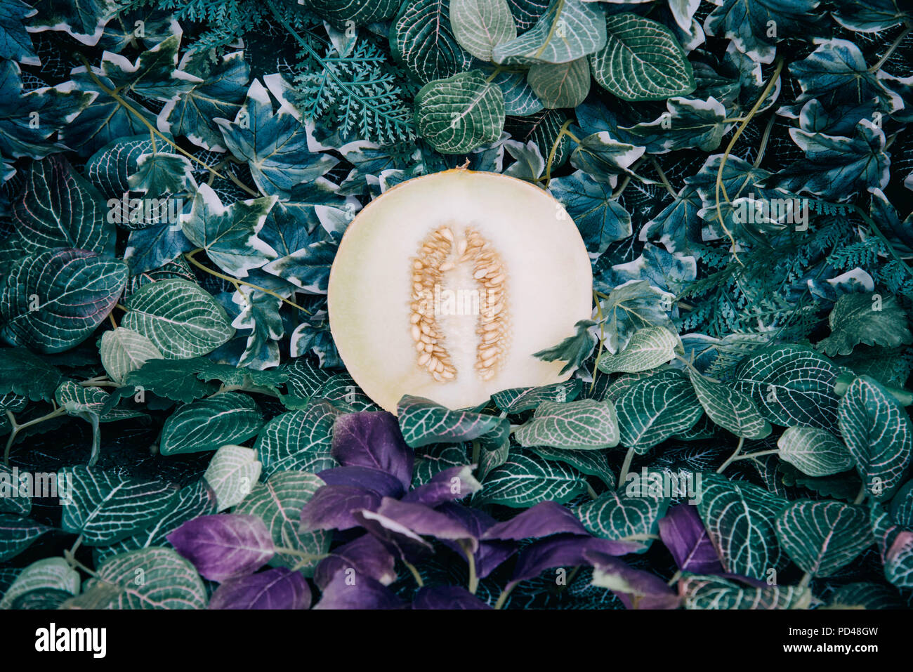 Creative melon hi-res stock photography and images - Alamy