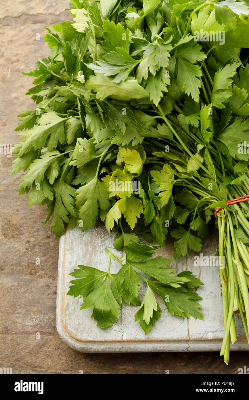preparing fresh parsley Stock Photo - Alamy