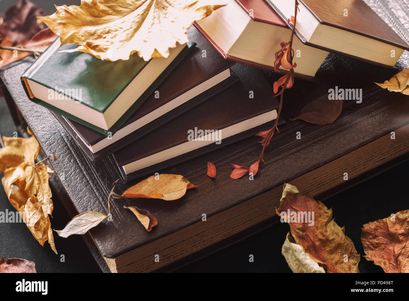 Pile of books frame, sunny fall day, autumn background, colorful leaves ...