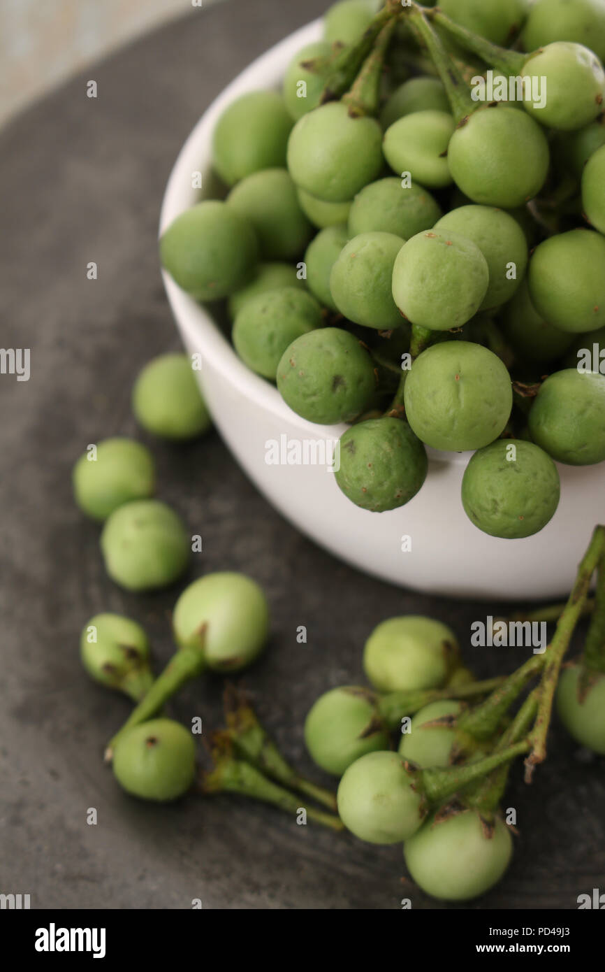 Zamorette hi-res stock photography and images - Alamy