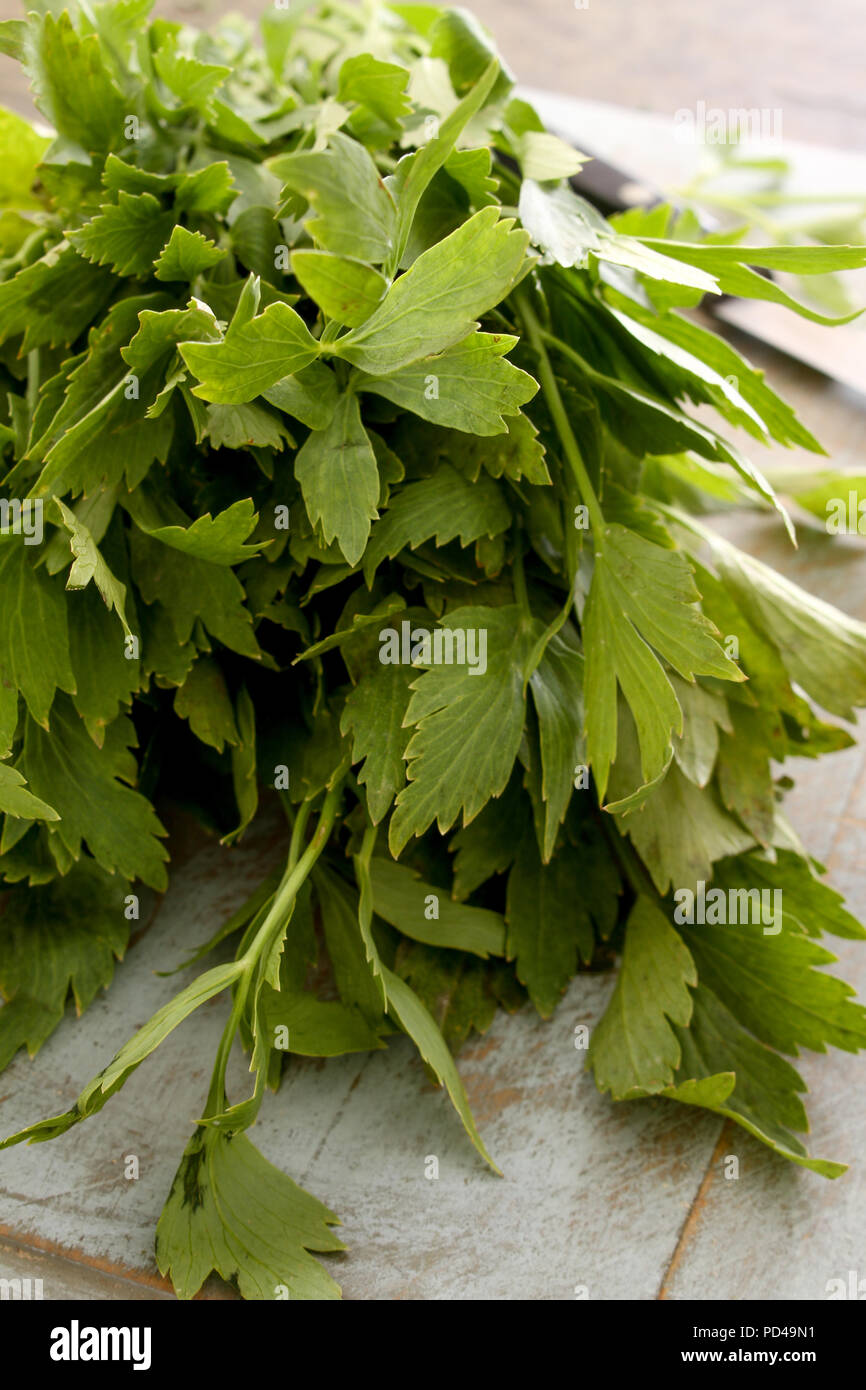 preparing fresh parsley Stock Photo - Alamy