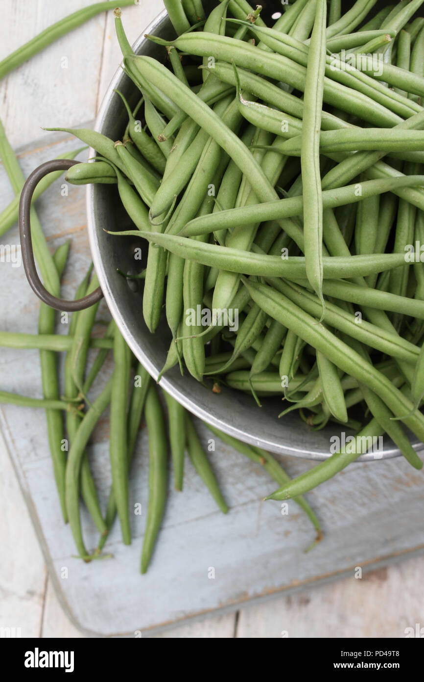 preparing fine green beans Stock Photo - Alamy