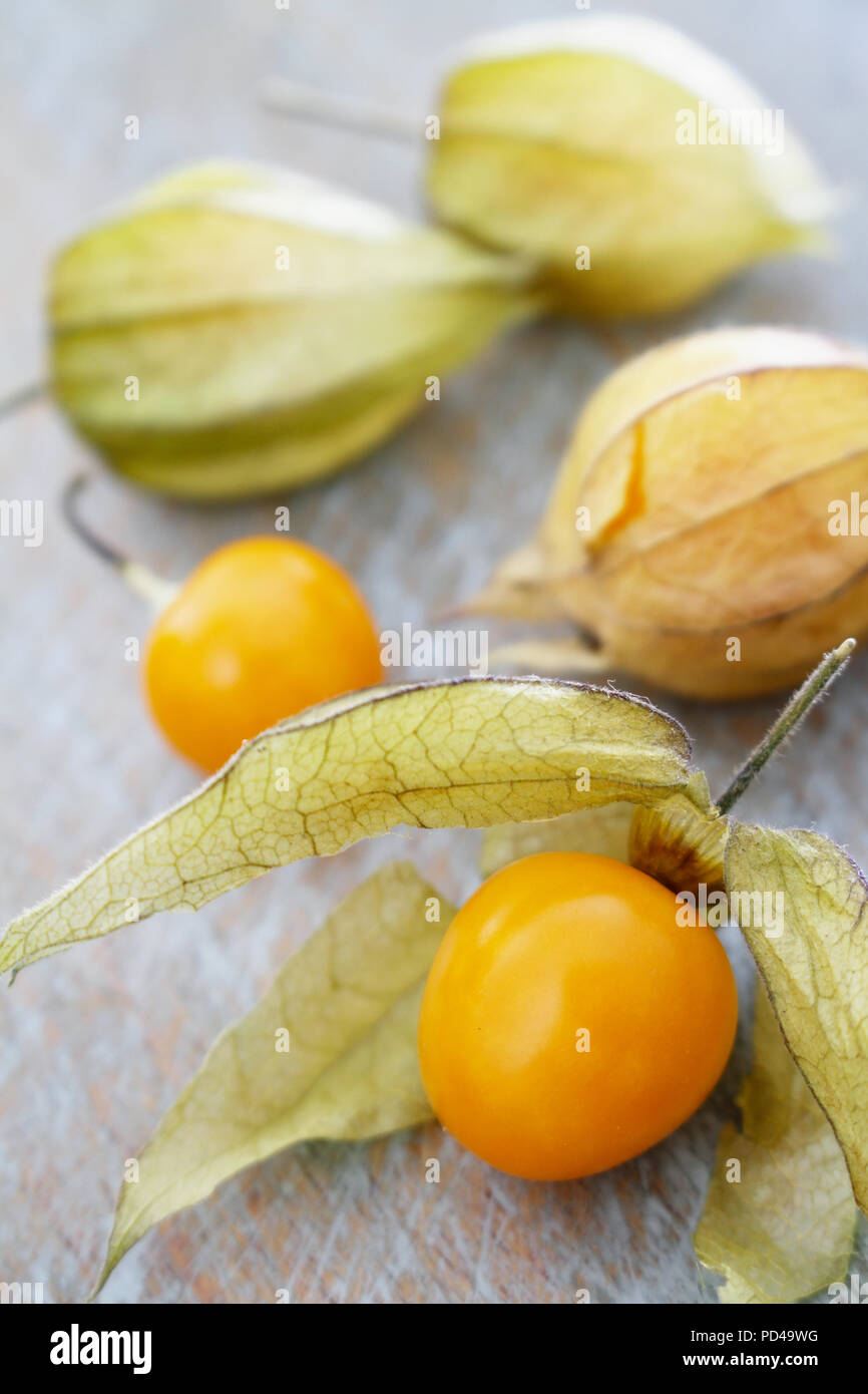 fresh fruit physalis Stock Photo - Alamy