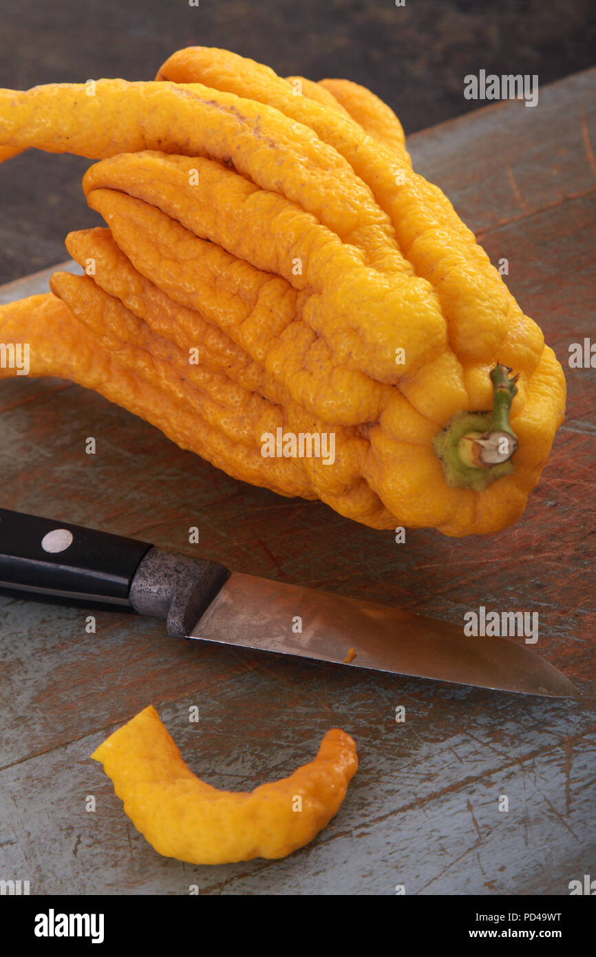buddhas hand citrus fruit Stock Photo - Alamy