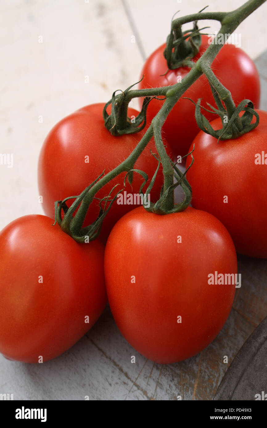 Piccolino Tomatoes High Resolution Stock Photography and Images - Alamy