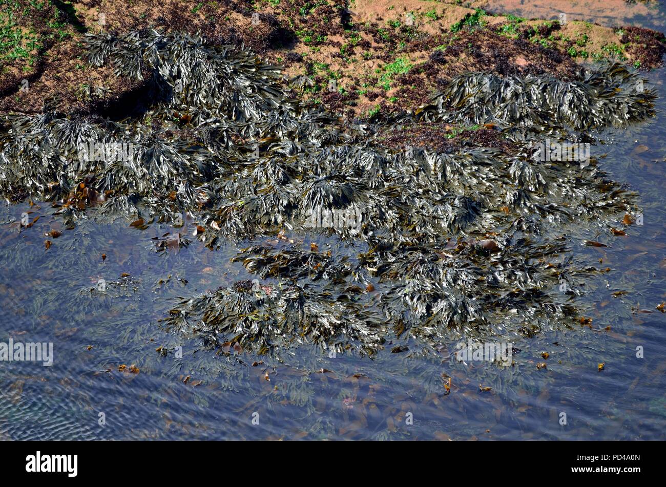 Wrac hi-res stock photography and images - Alamy