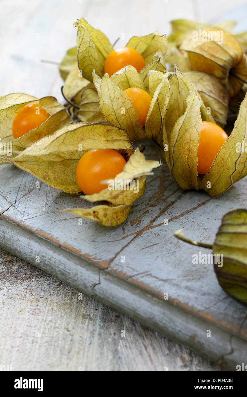 fresh fruit physalis Stock Photo - Alamy