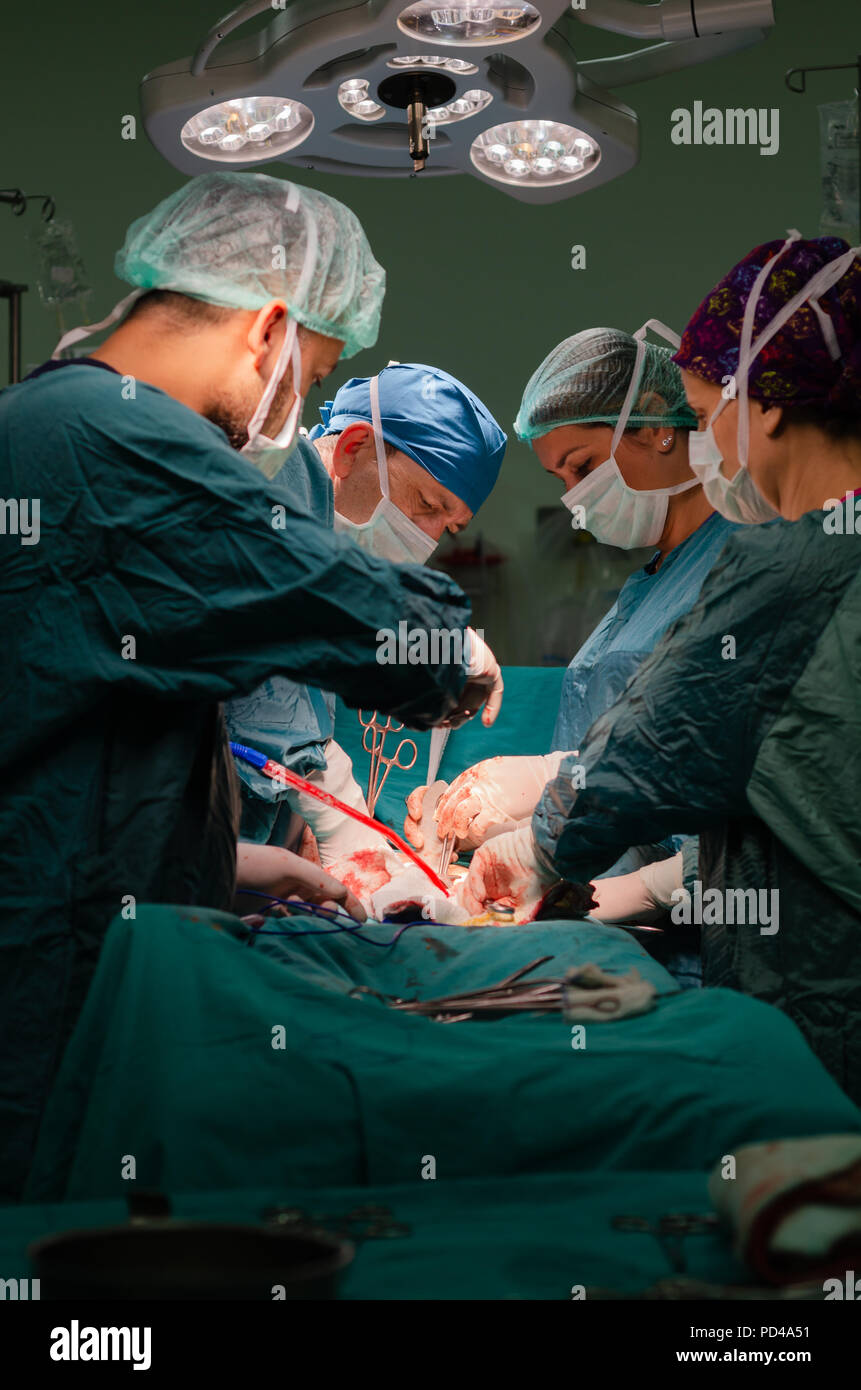 Concentrated doctor, assistant and nurse in a patient during a ...