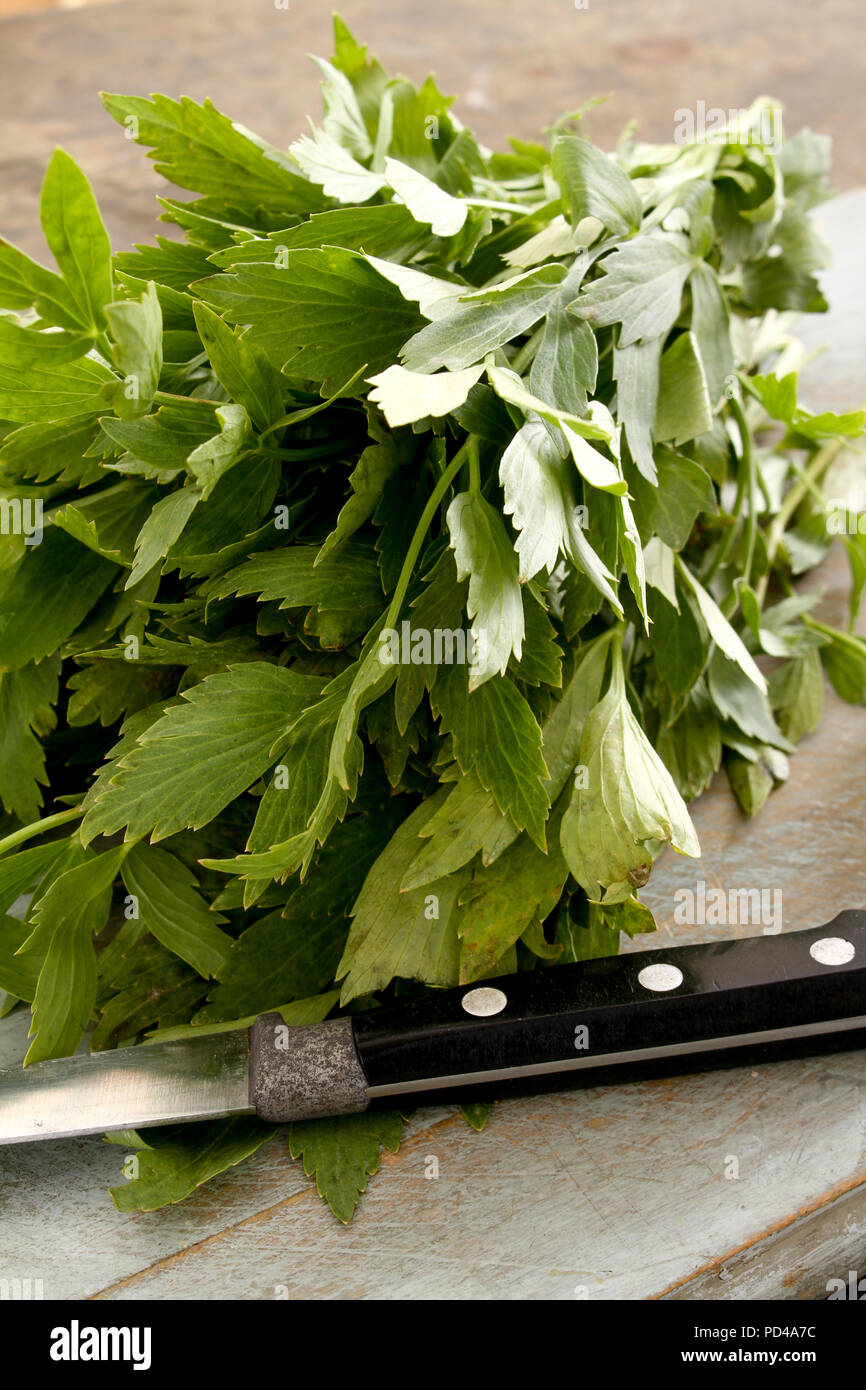 preparing fresh parsley Stock Photo - Alamy