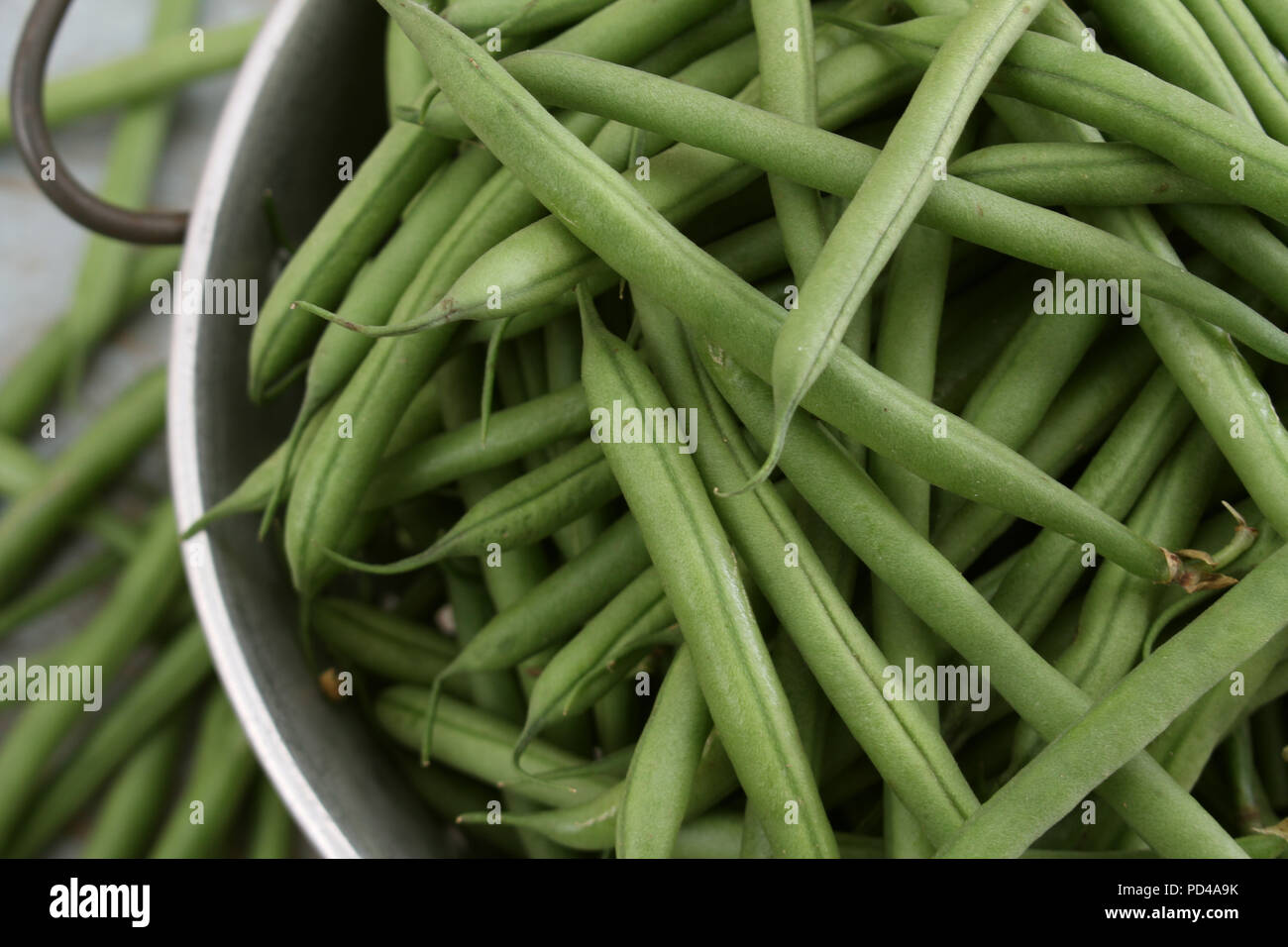 preparing fine green beans Stock Photo - Alamy