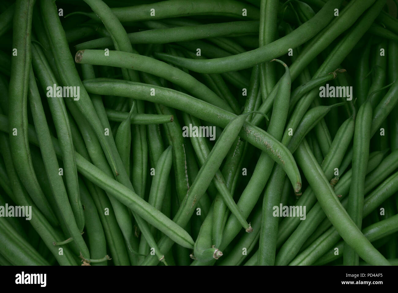 preparing fine green beans Stock Photo - Alamy