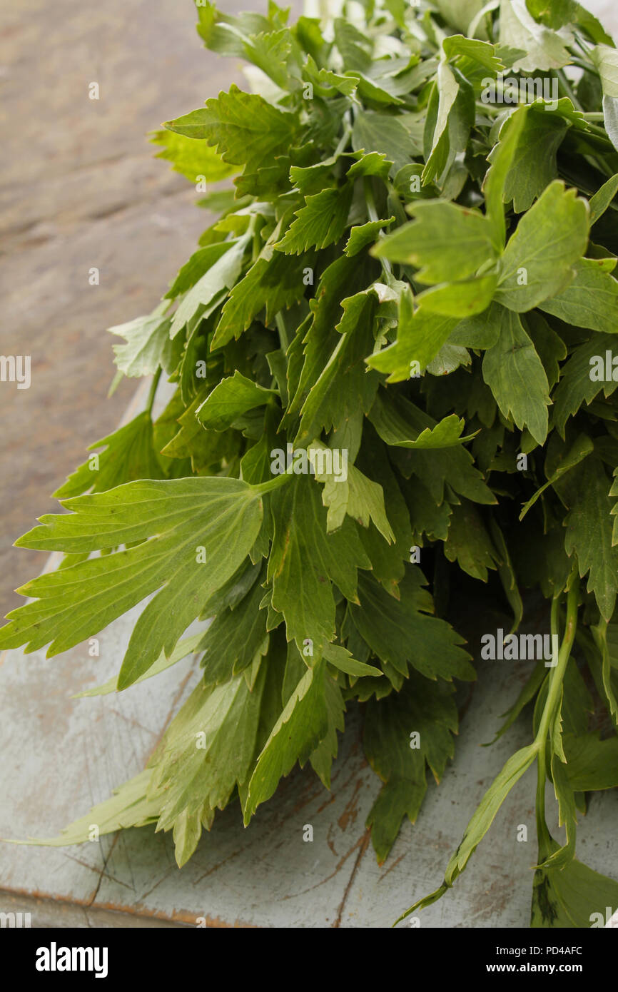 preparing fresh parsley Stock Photo - Alamy