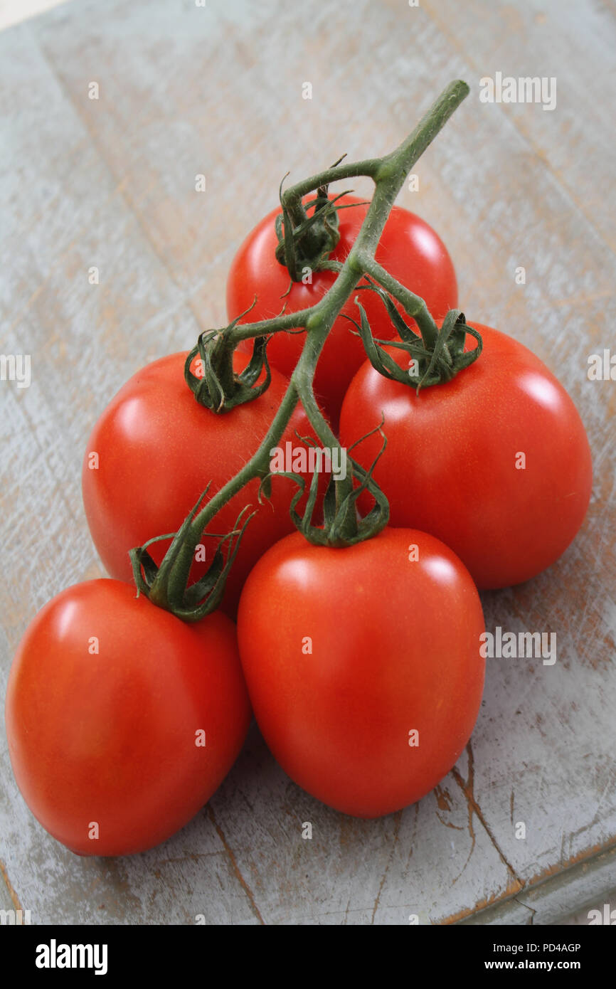 fresh ripe tomatoes Stock Photo - Alamy