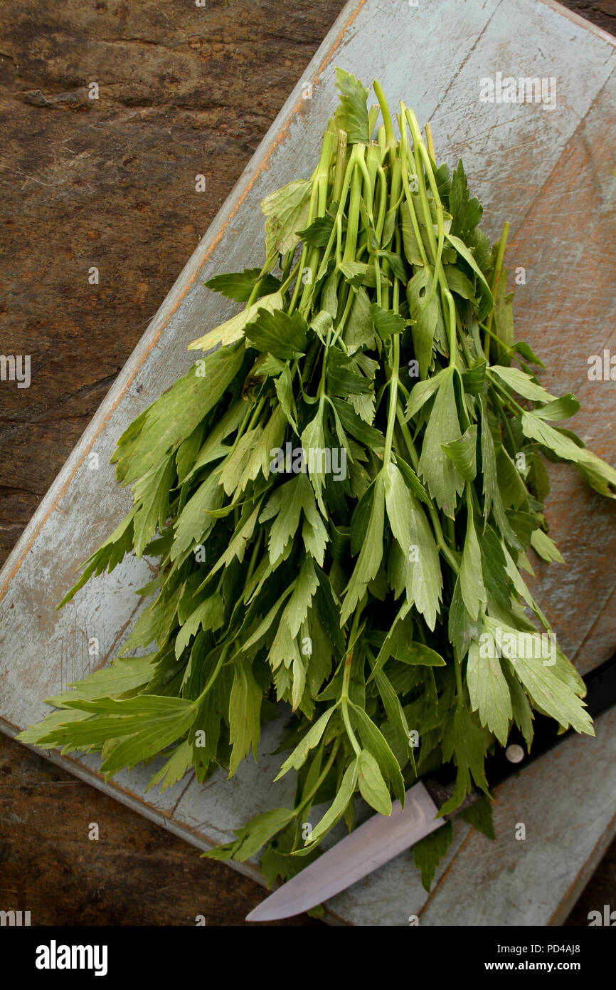 preparing fresh parsley Stock Photo - Alamy