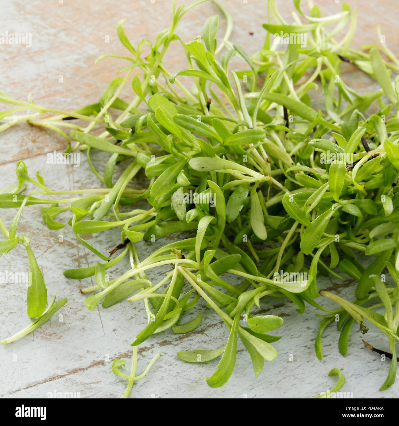 fresh micro herbs Stock Photo - Alamy
