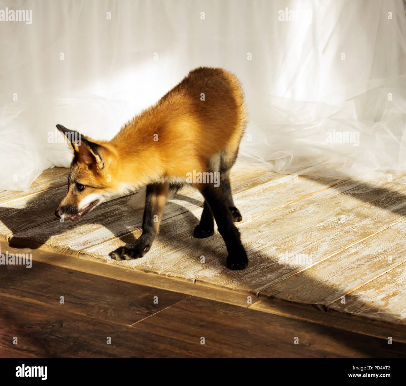 Saw something hi-res stock photography and images - Alamy