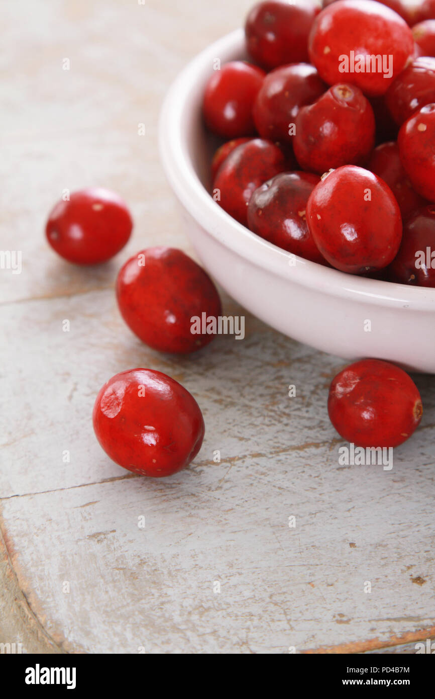 Washed cranberries hi-res stock photography and images - Alamy