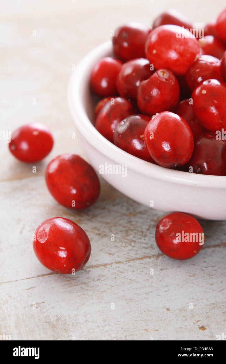 preparing fresh cranberries Stock Photo - Alamy