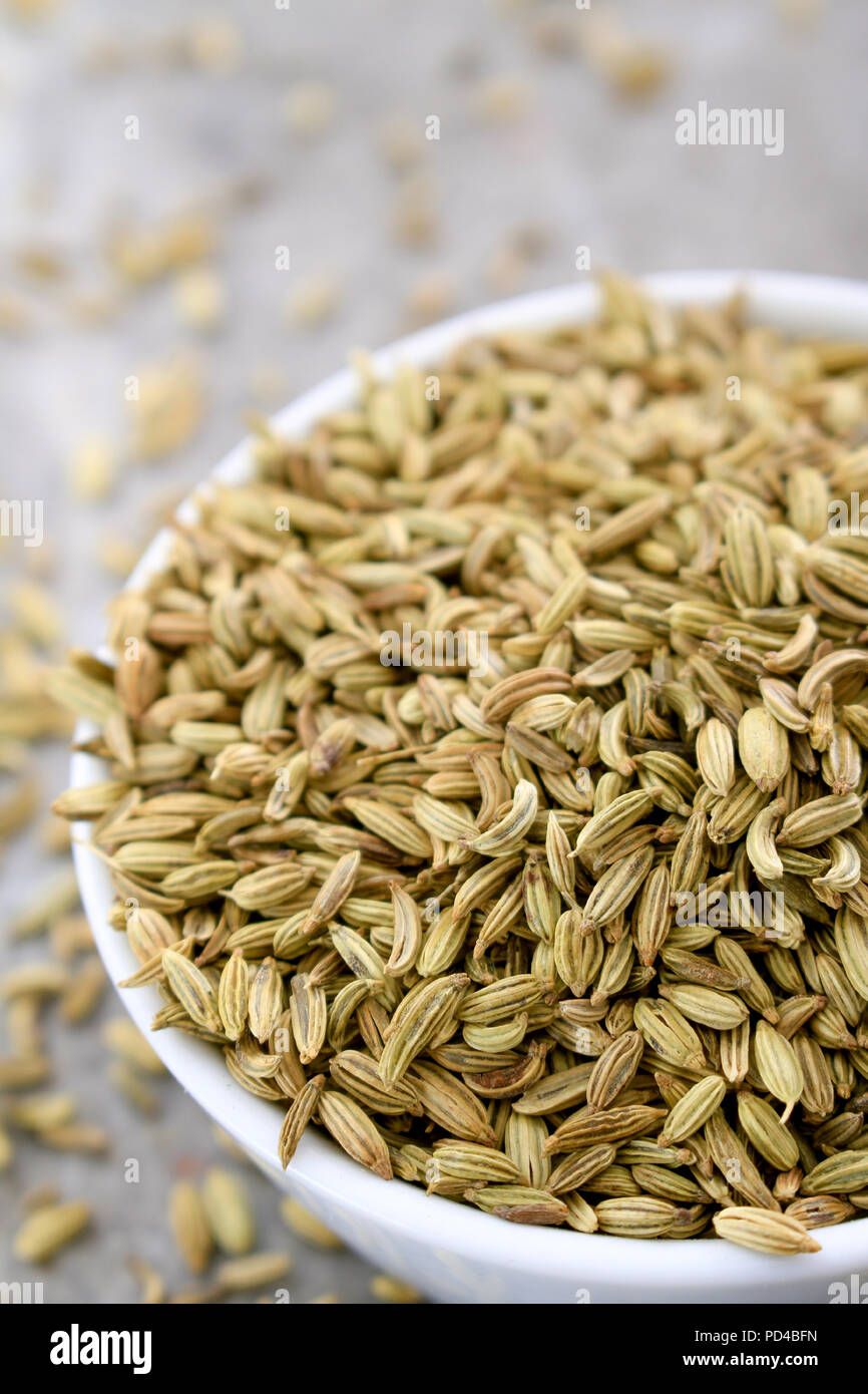 Ferula communis seed hi-res stock photography and images - Alamy