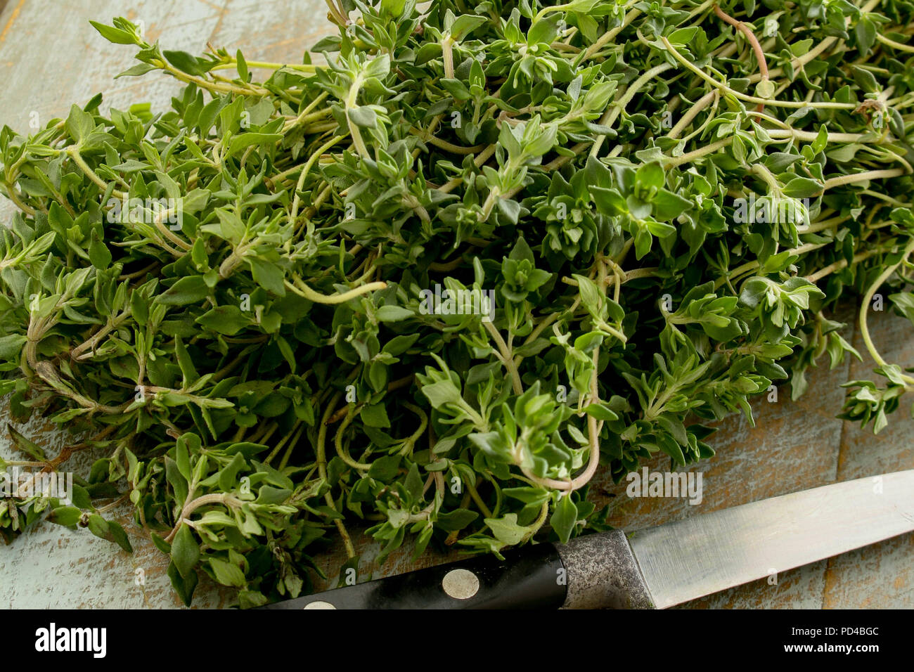 preparing fresh herb thyme Stock Photo - Alamy