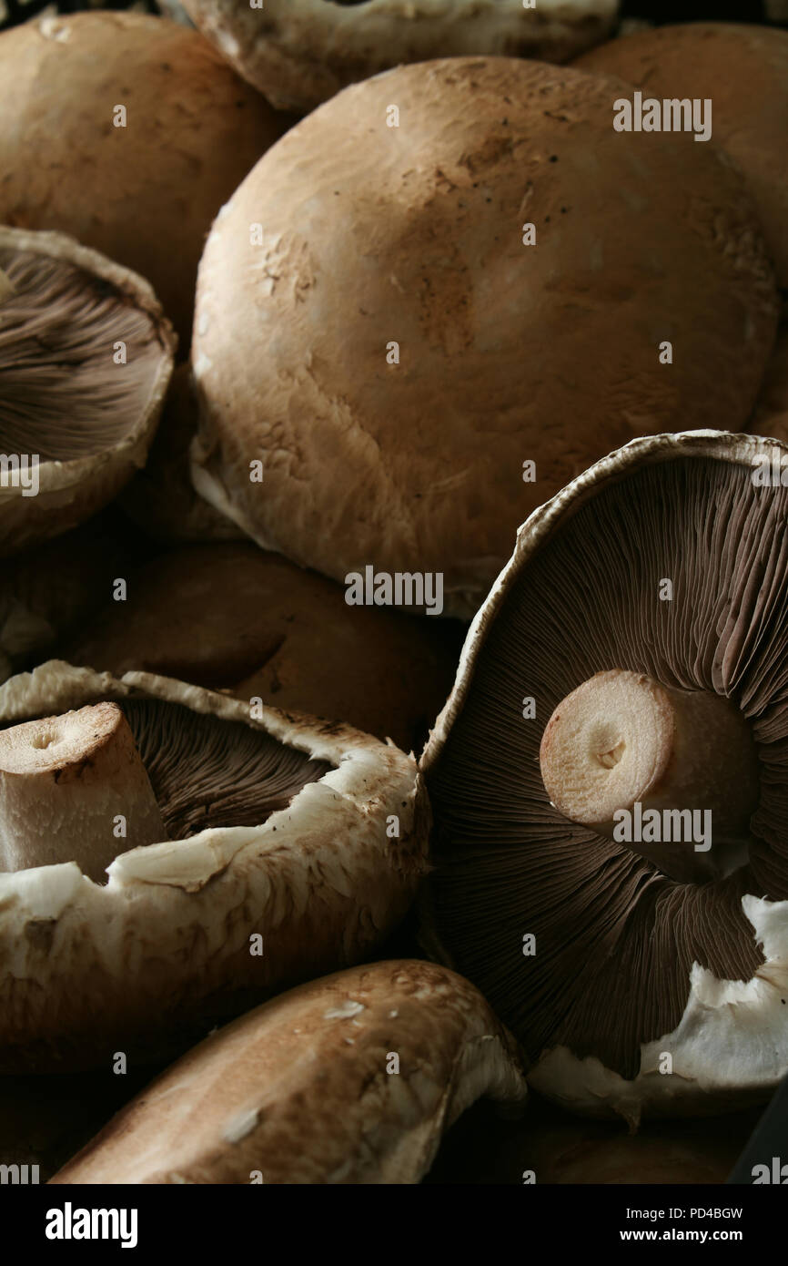 Larger mushrooms hi-res stock photography and images - Alamy