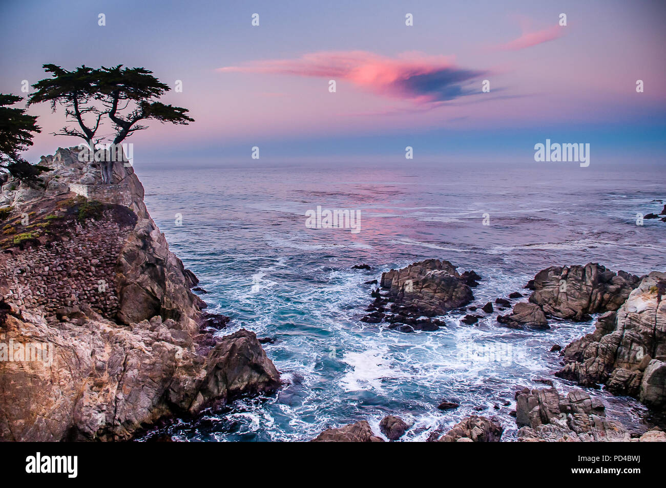 Cypress tree 17 mile drive hi-res stock photography and images - Alamy