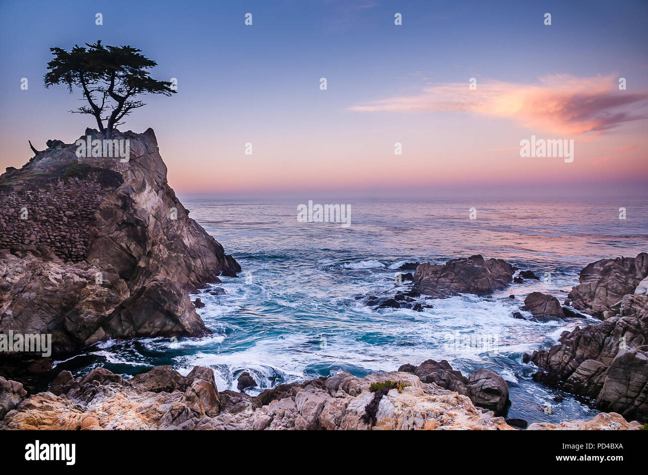 17 mile scenic drive hi-res stock photography and images - Alamy