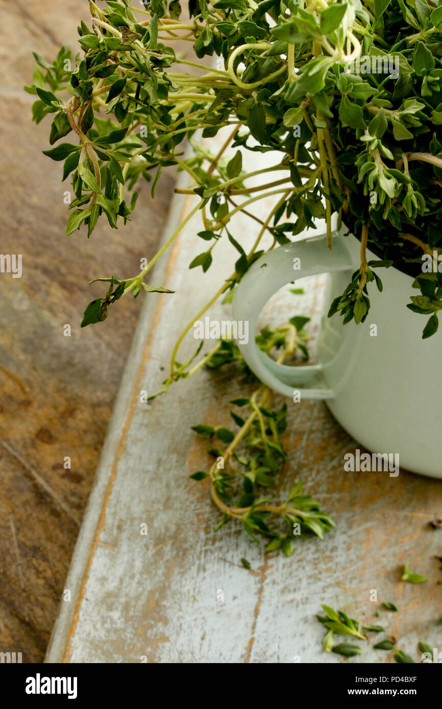 preparing fresh herb thyme Stock Photo - Alamy