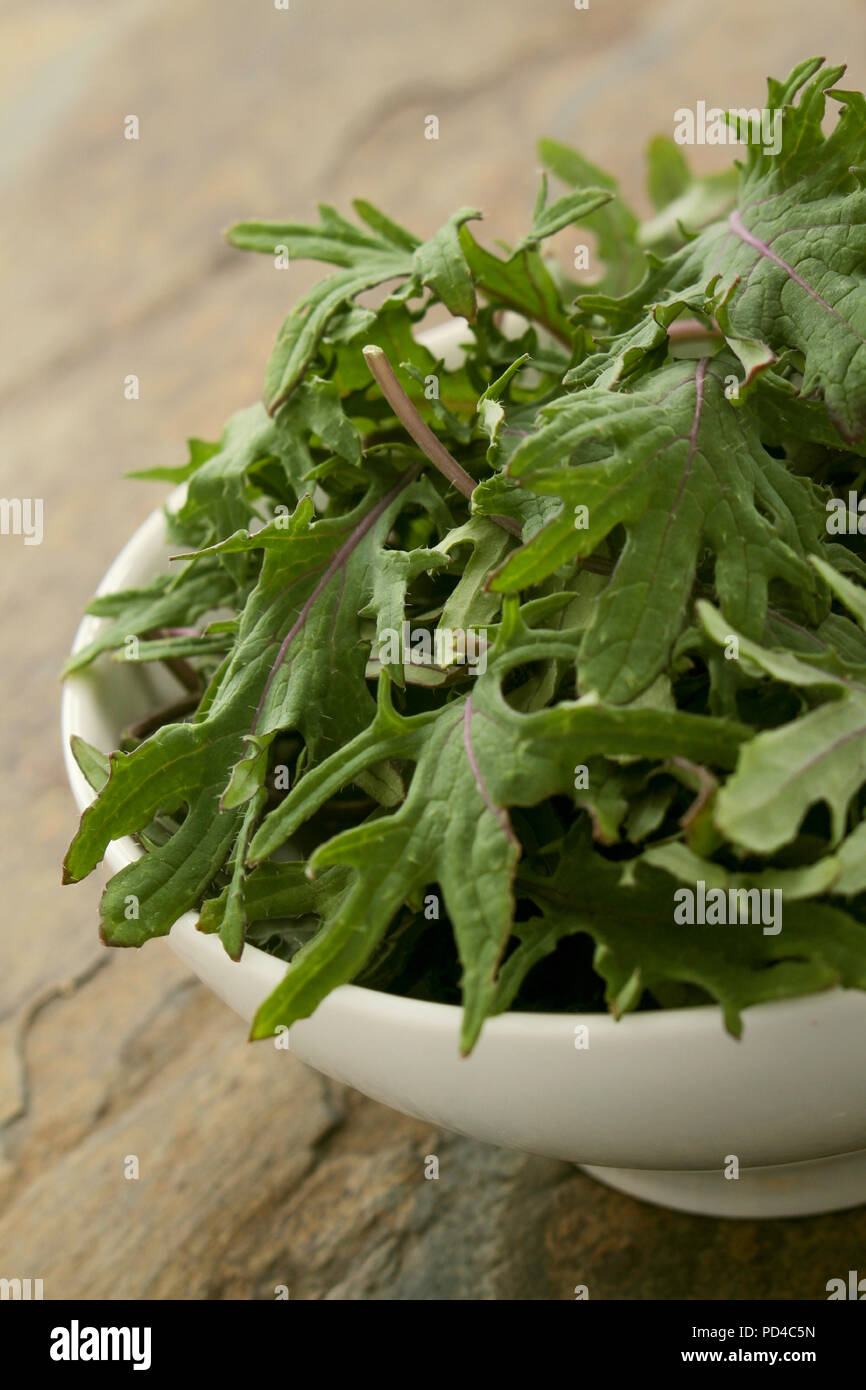 preparing fresh kale leaves Stock Photo - Alamy