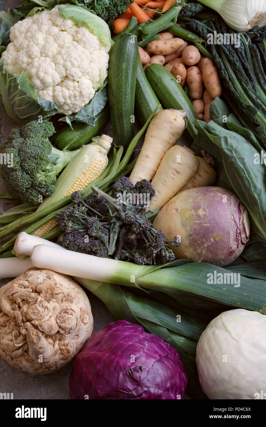 Seasonal vegetable varieties hi-res stock photography and images - Alamy