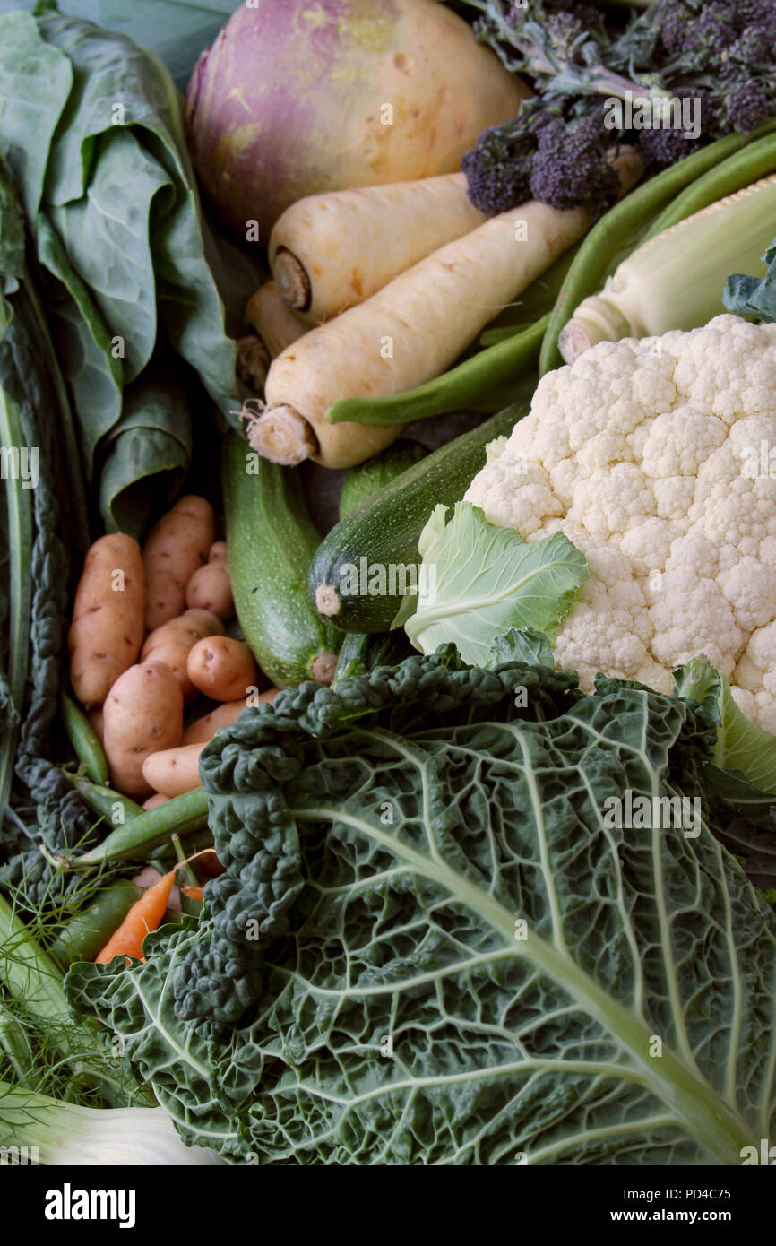 Seasonal vegetable varieties hi-res stock photography and images - Alamy