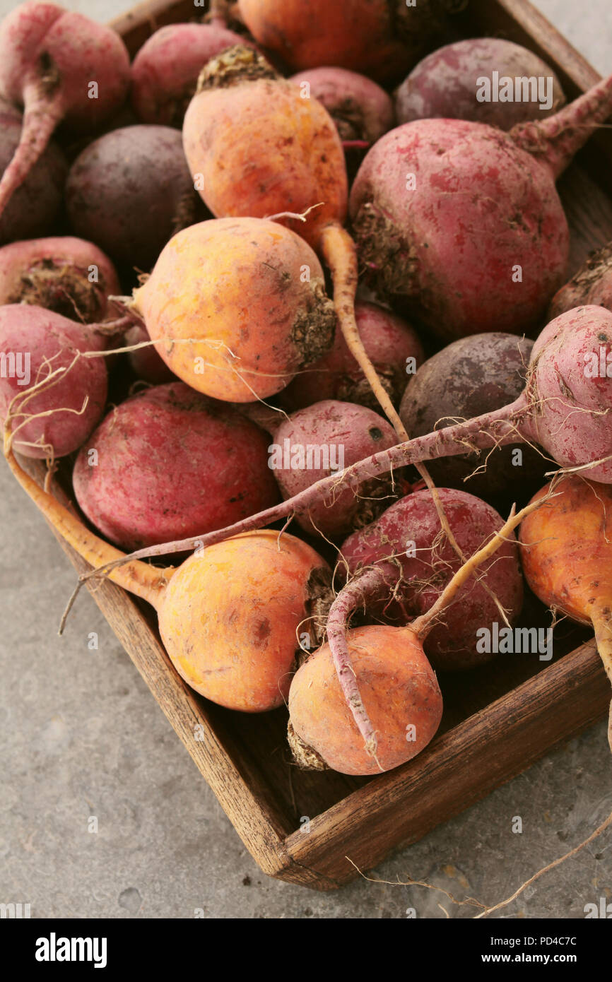 mixed heritage beetroot Stock Photo - Alamy
