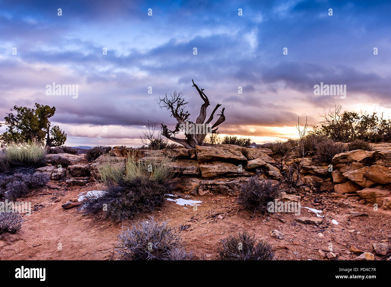 Moab desert sunset hi-res stock photography and images - Alamy