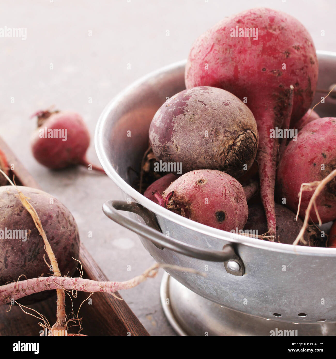 mixed heritage beetroot Stock Photo - Alamy