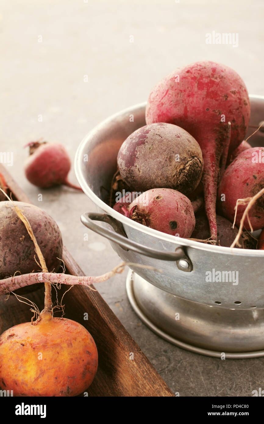 mixed heritage beetroot Stock Photo - Alamy