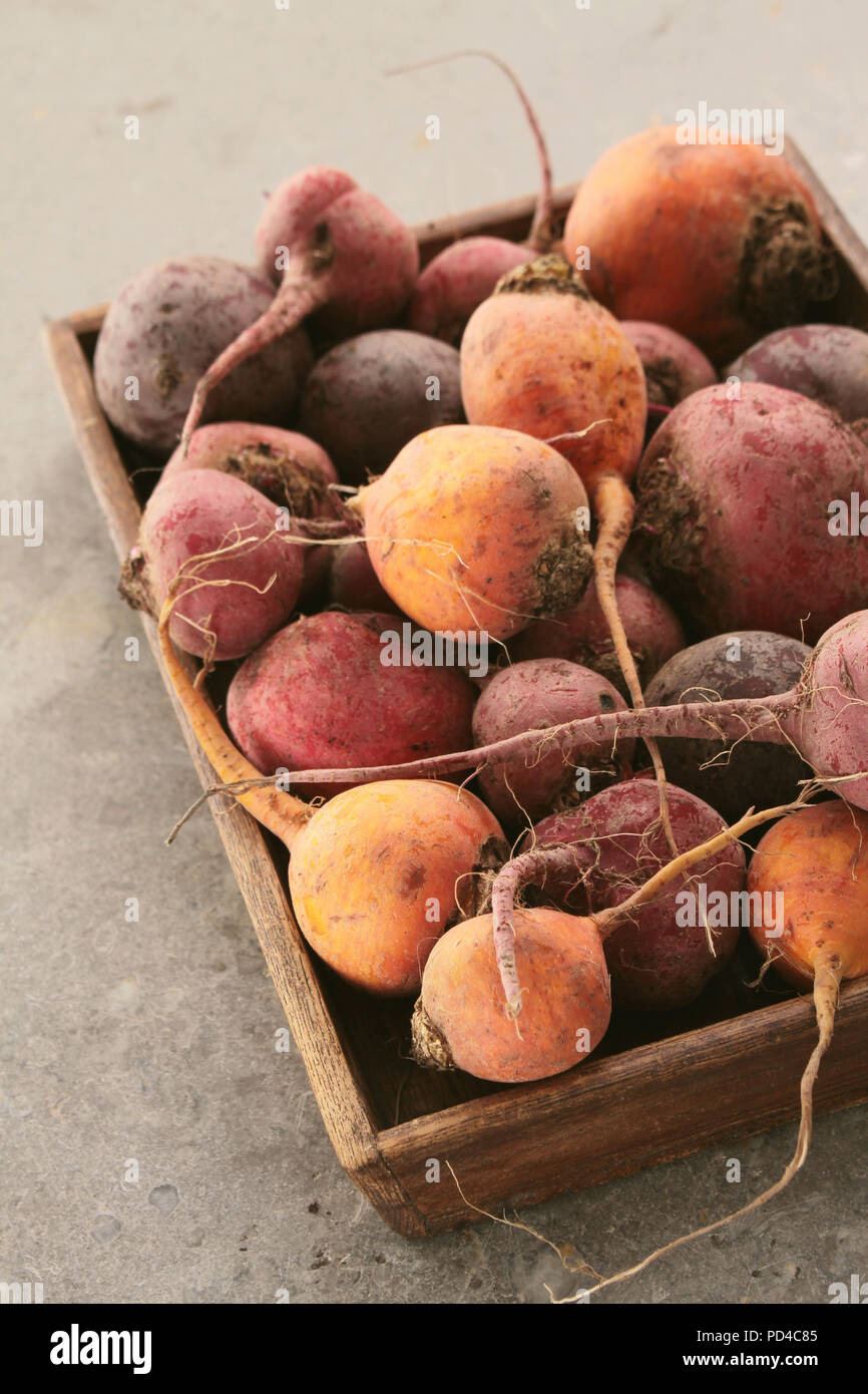 Heritage beetroot golden hi-res stock photography and images - Alamy