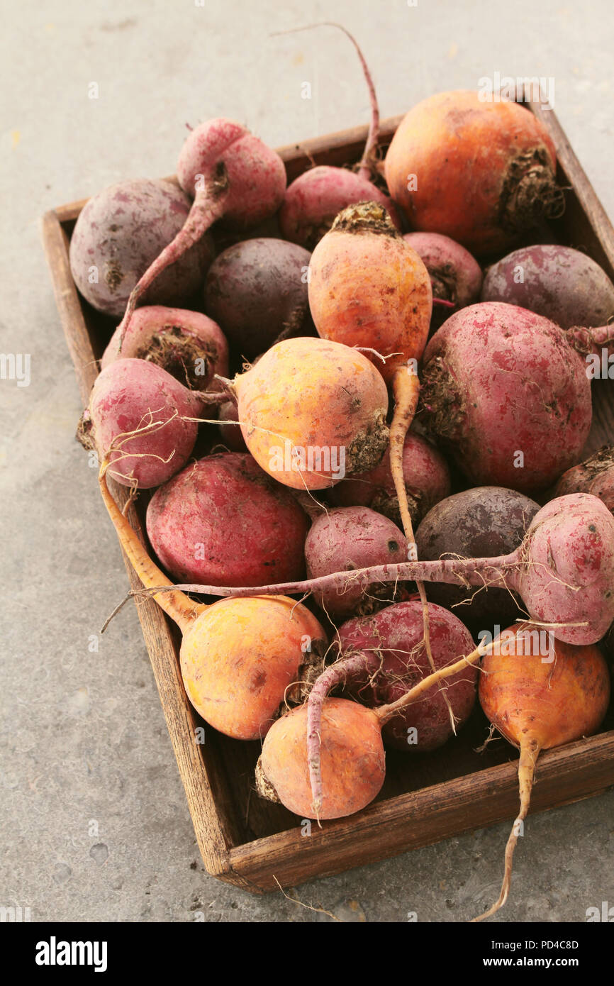 mixed heritage beetroot Stock Photo - Alamy