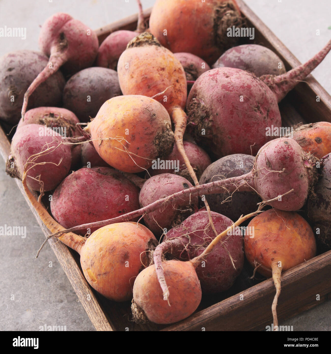 mixed heritage beetroot Stock Photo - Alamy