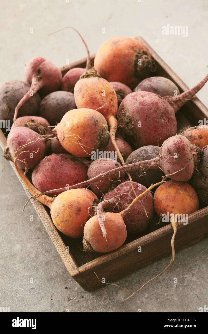 mixed heritage beetroot Stock Photo - Alamy