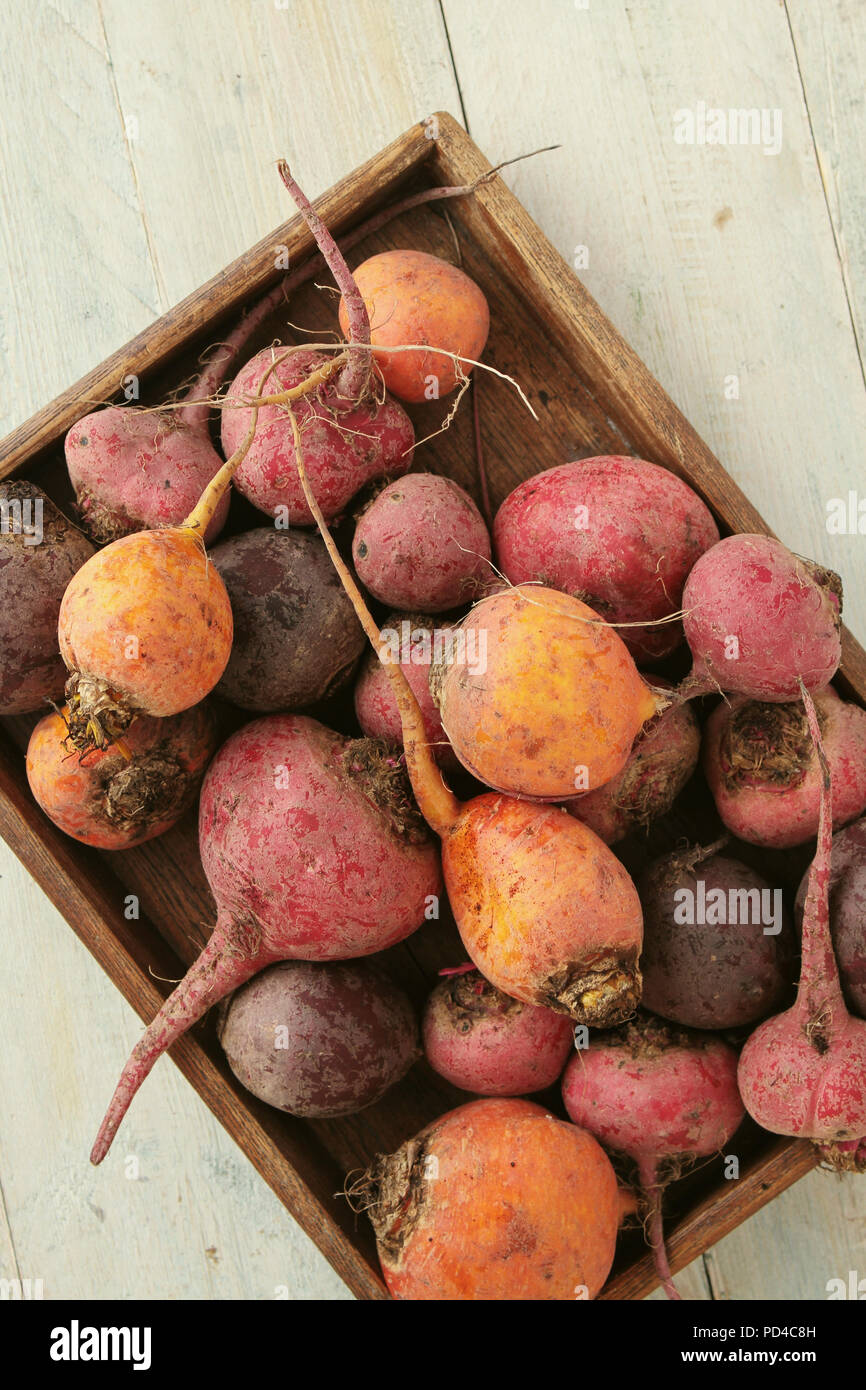 mixed heritage beetroot Stock Photo - Alamy