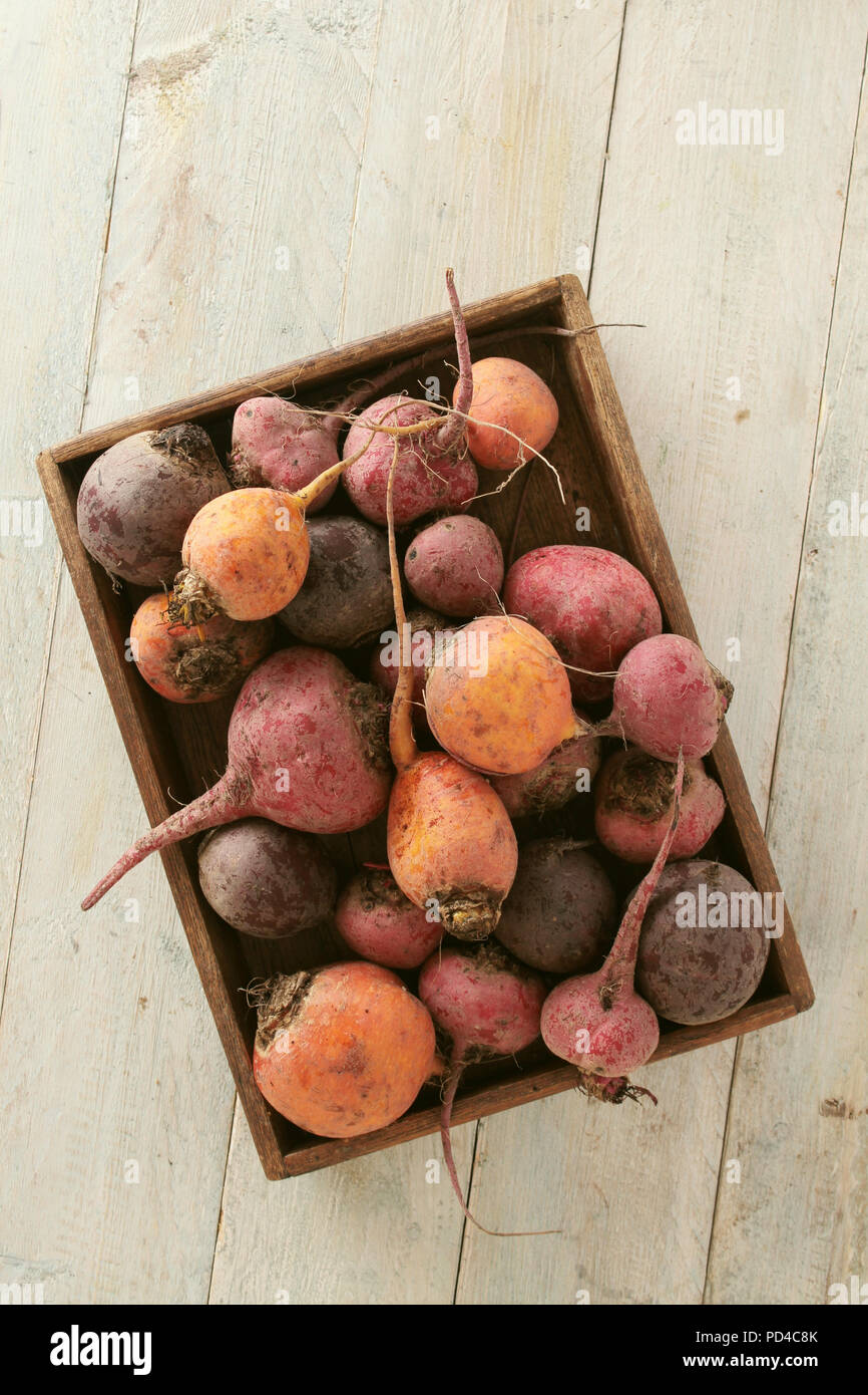 Mixed heritage hi-res stock photography and images - Alamy