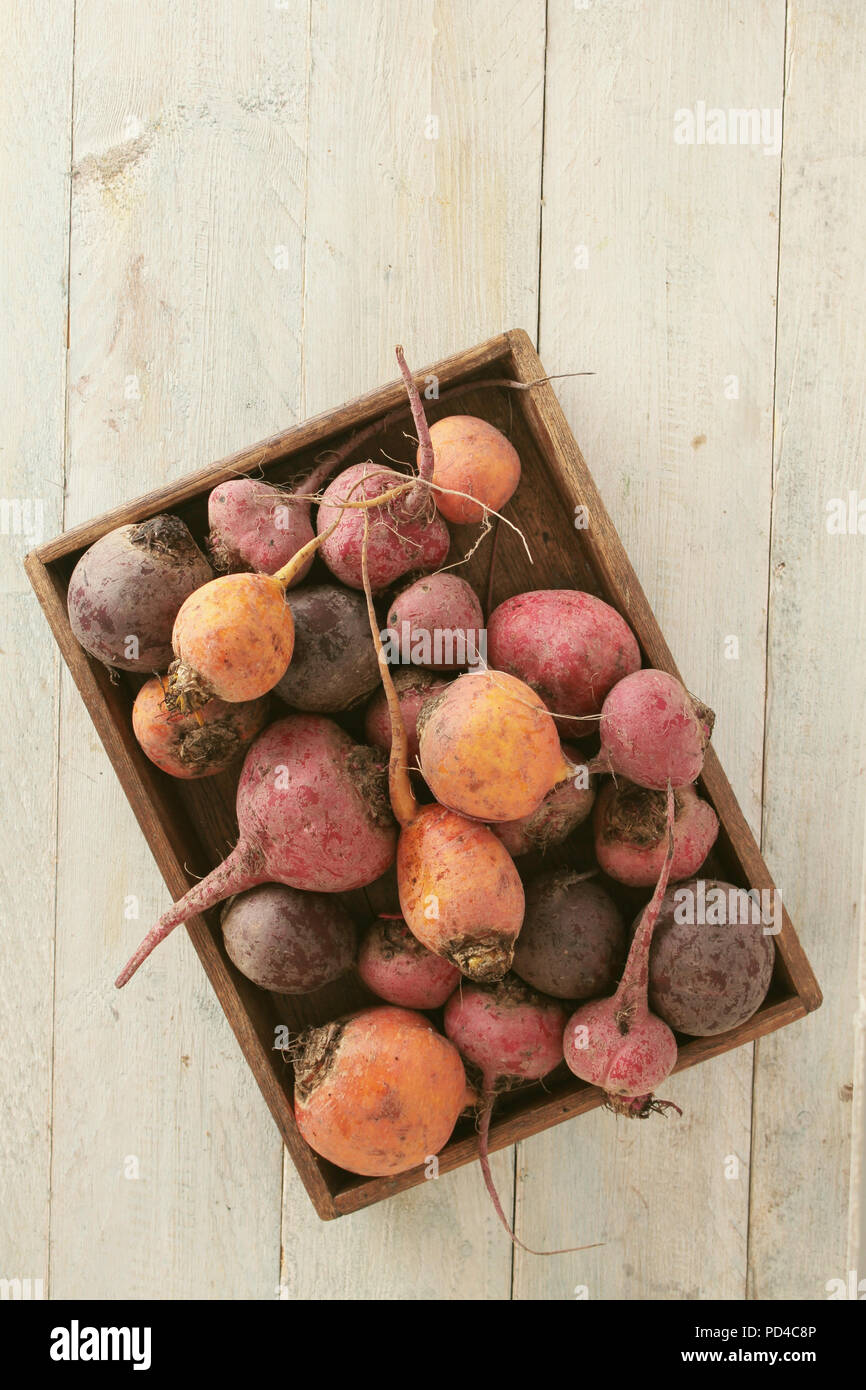 Heritage beetroot golden hi-res stock photography and images - Alamy
