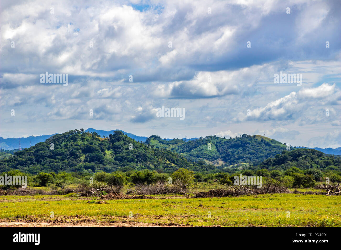 Honduras jungle hi-res stock photography and images - Alamy