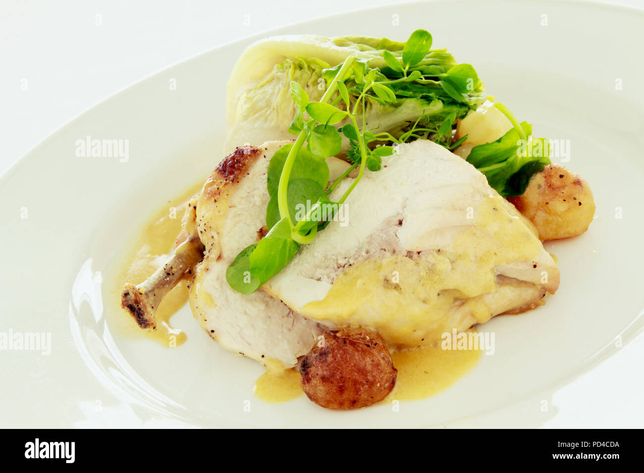 plated chicken main meal Stock Photo - Alamy