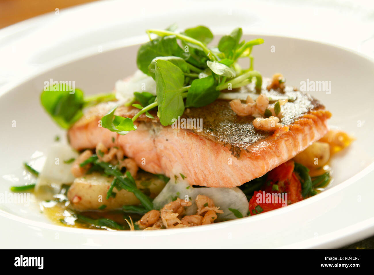 Plated salmon main hi-res stock photography and images - Alamy