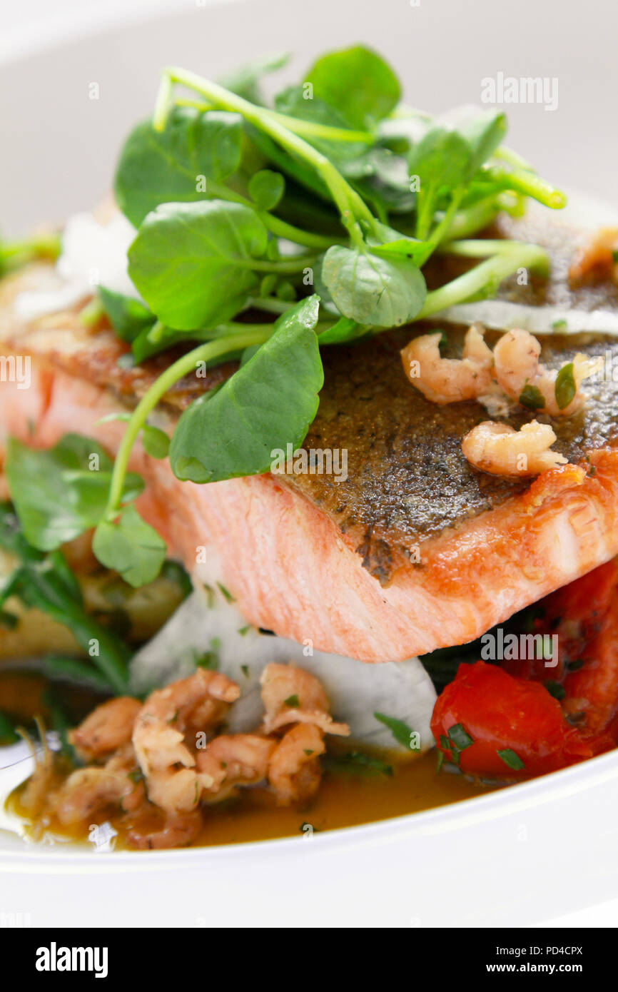 Plated salmon main hi-res stock photography and images - Alamy
