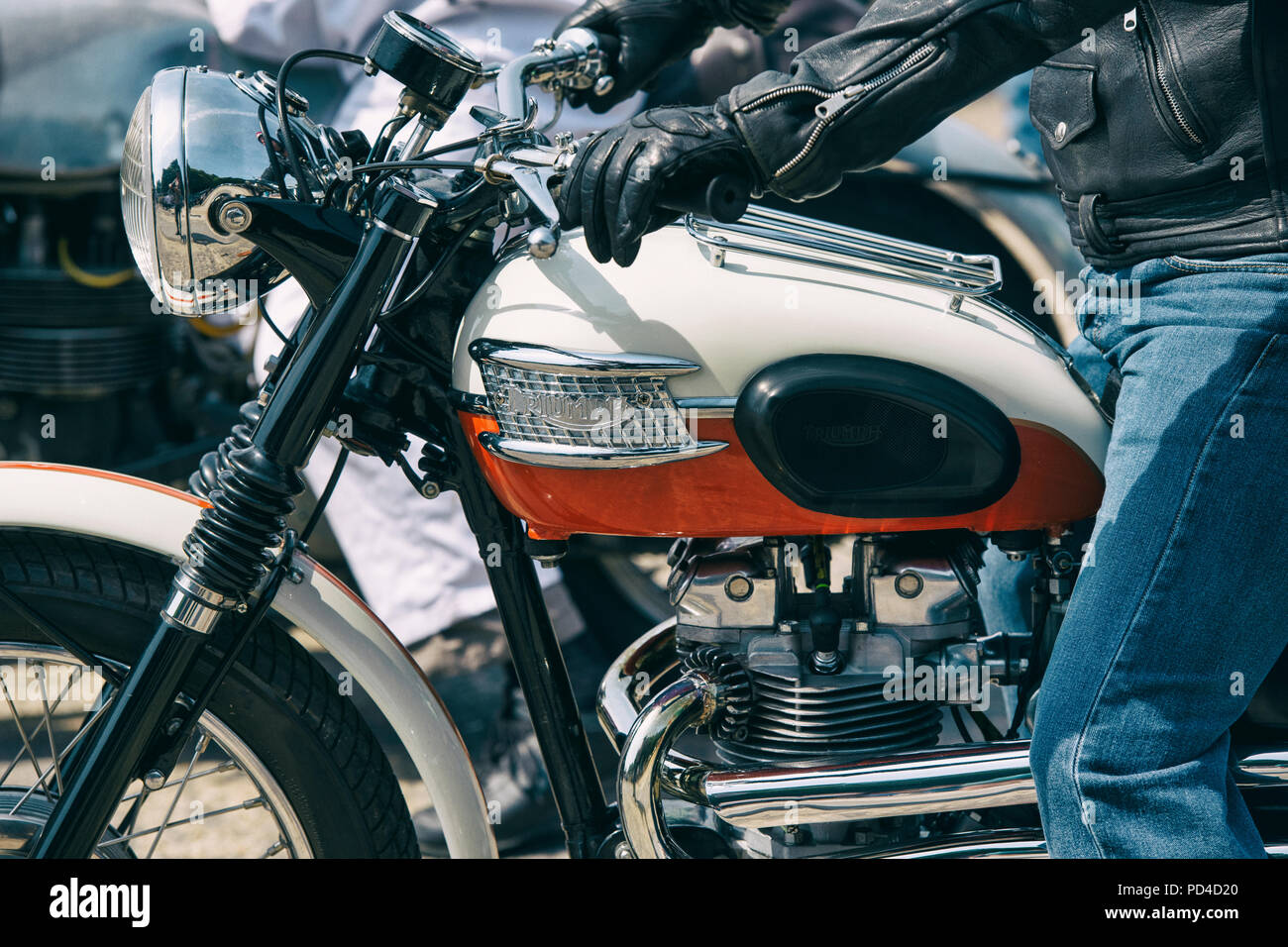 Biker on a Triumph motorcycle. Classic british motorcycle Stock Photo ...