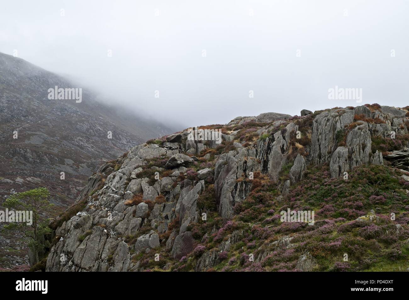 Snowdonia, North Wales National Parks Stock Photo - Alamy