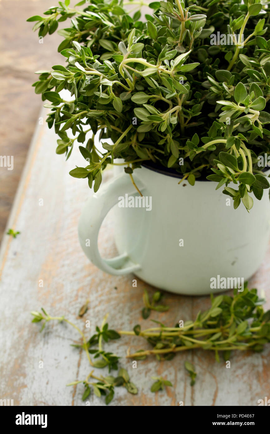 preparing fresh herb thyme Stock Photo - Alamy